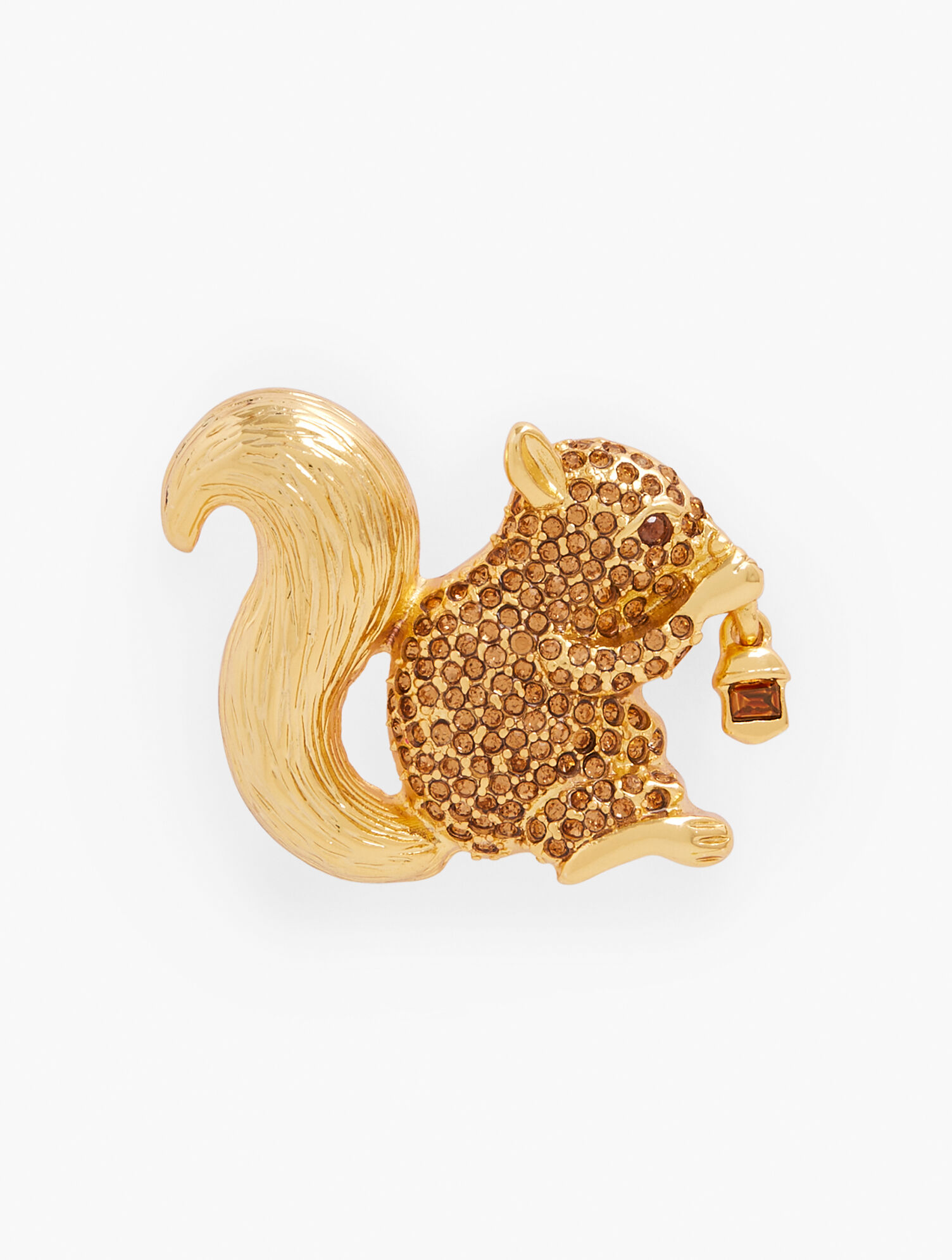 Squirrel Brooch | Talbots