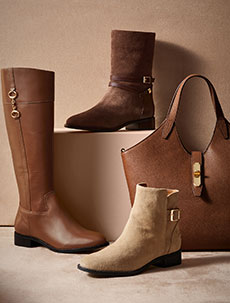 Women's New Arrivals | Talbots